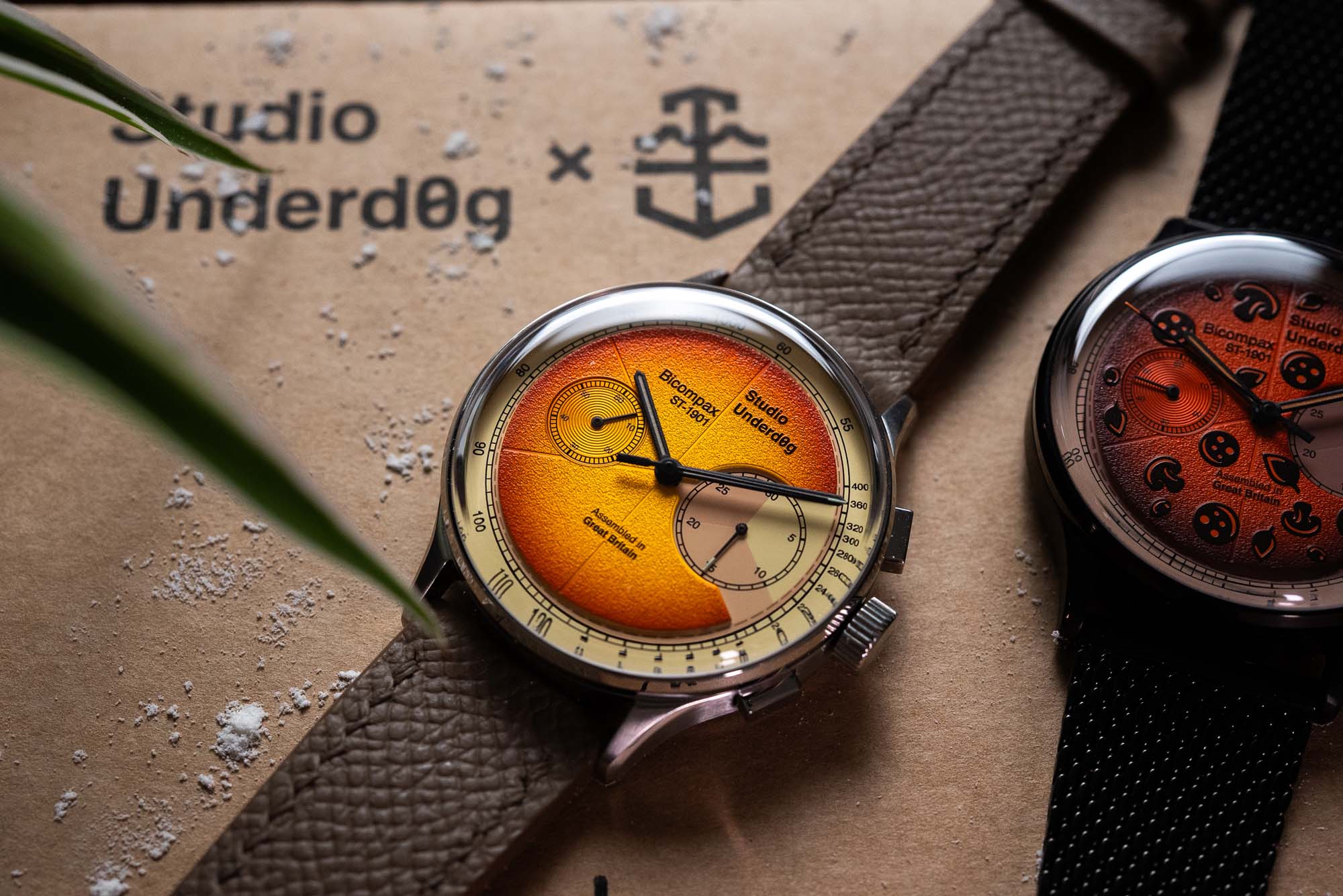 Studio Underd0g x Time+Tide Classic Cheese – Time+Tide Watches UK
